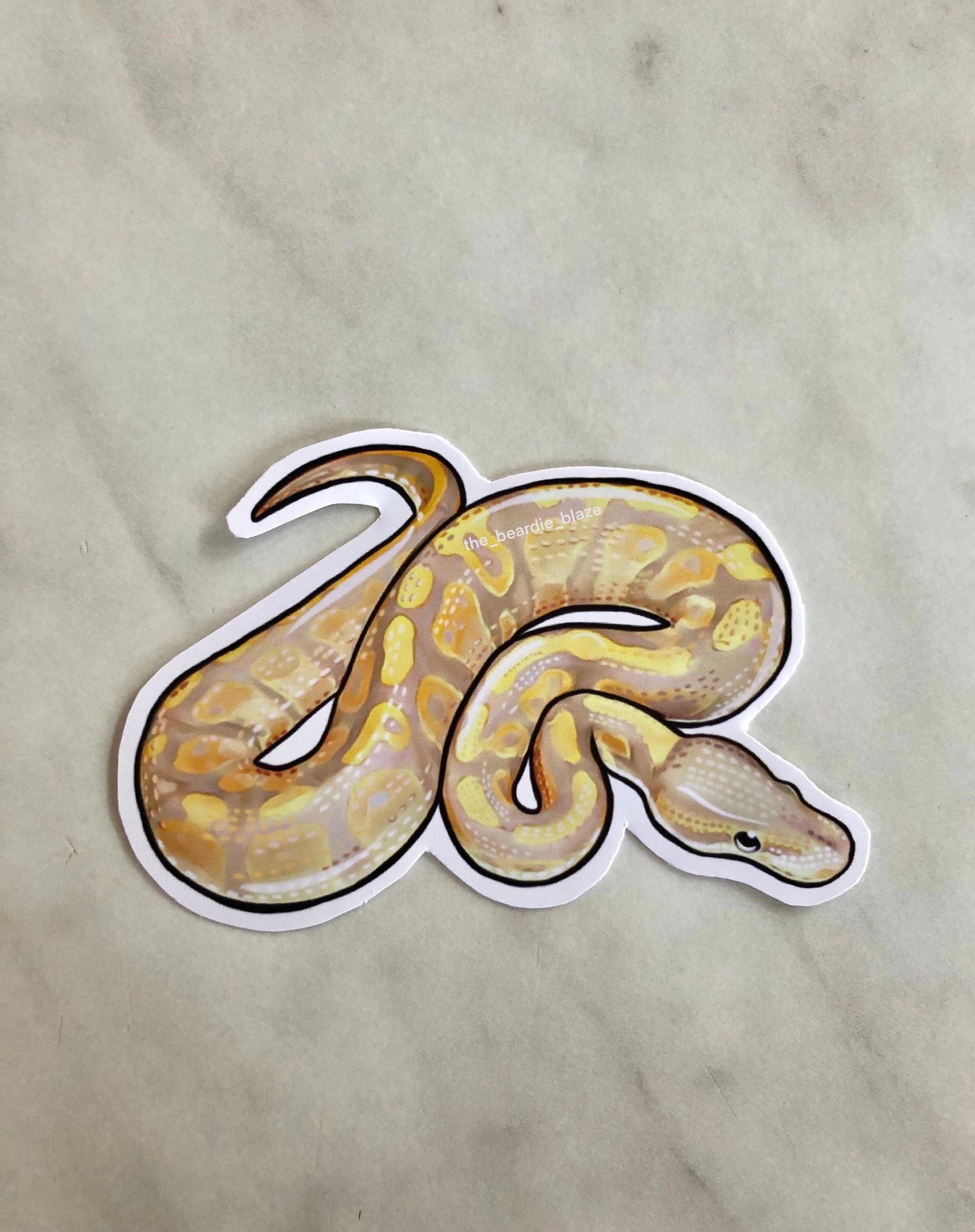 Ball Python Banana Morph Glossy Sticker - Etsy UK