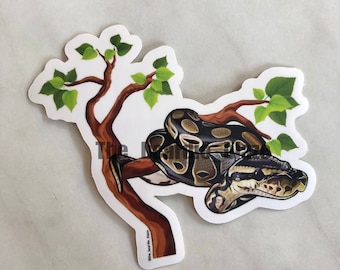 Bumblebee Desert Ball Python Glossy Sticker - Etsy