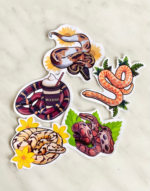 Snake Glossy Sticker Pack | Etsy