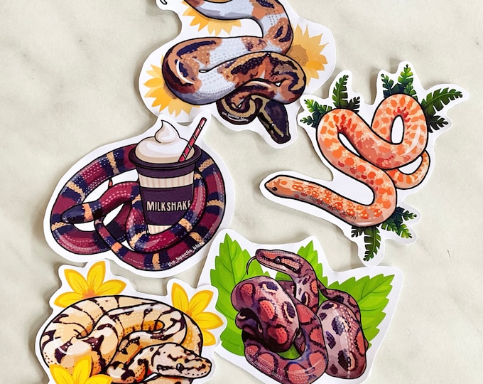 Snake Glossy Sticker Pack - Etsy