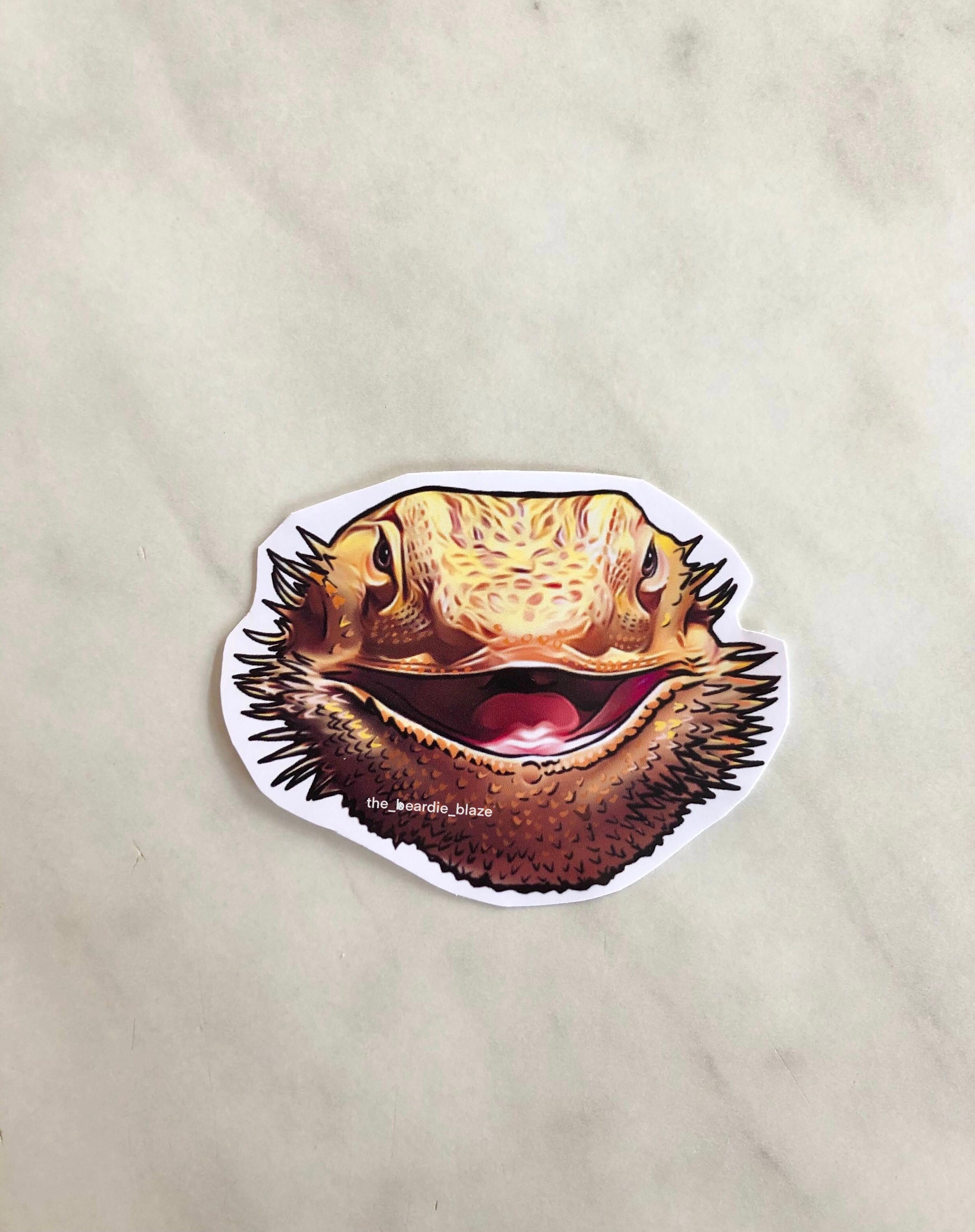 Reptile Glossy Sticker Pack - Etsy