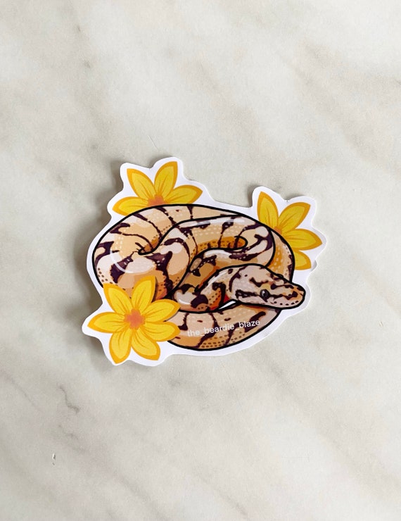Bumblebee Desert Ball Python Glossy Sticker | Etsy