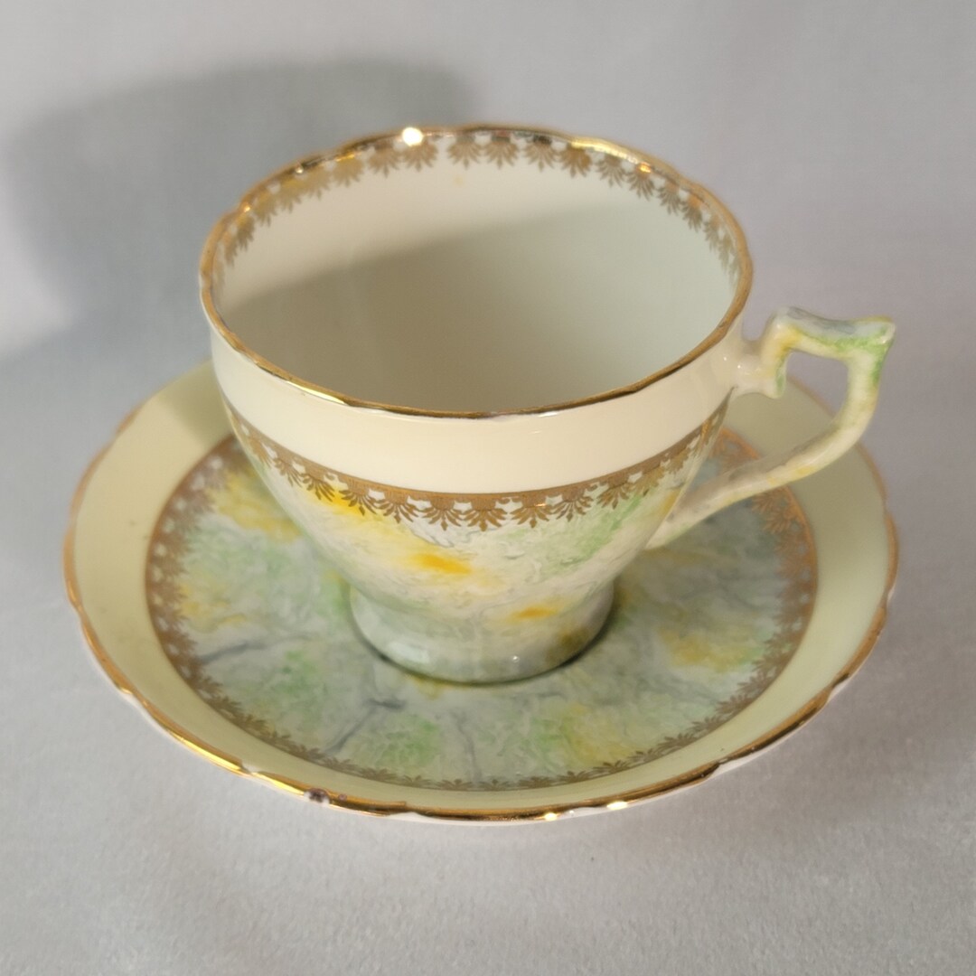 Wellington China Taza de té y platillo Diseño Floral Color Oro trim Cup ...