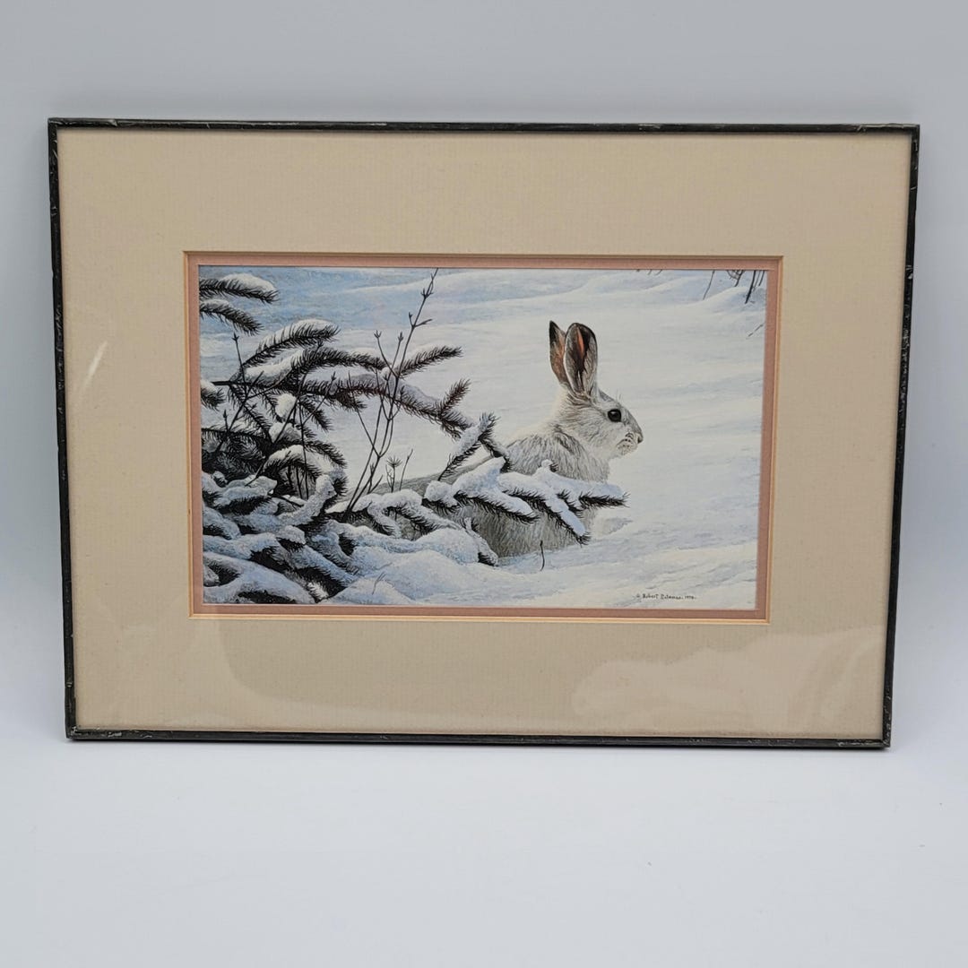 Robert Bateman Downy Rabbit Acrylic Wall Art Framed Decor - Etsy