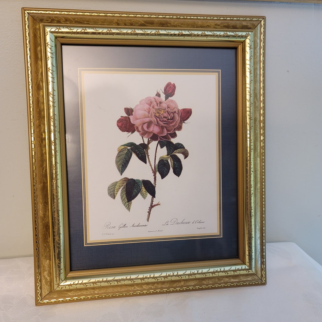 Gold Framed Botanical Wall Art 12 - Etsy