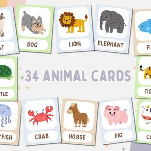 Animal Printable Flashcards | Simple English Vocabulary Flash Cards ...