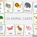 Animal Printable Flashcards | Simple English Vocabulary Flash Cards ...