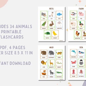 Animal Printable Flashcards | Simple English Vocabulary Flash Cards ...