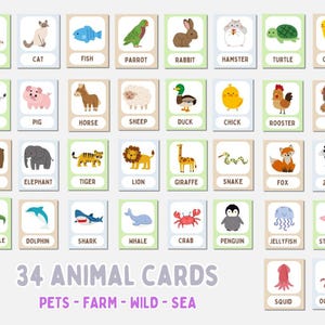 Animal Printable Flashcards | Simple English Vocabulary Flash Cards ...