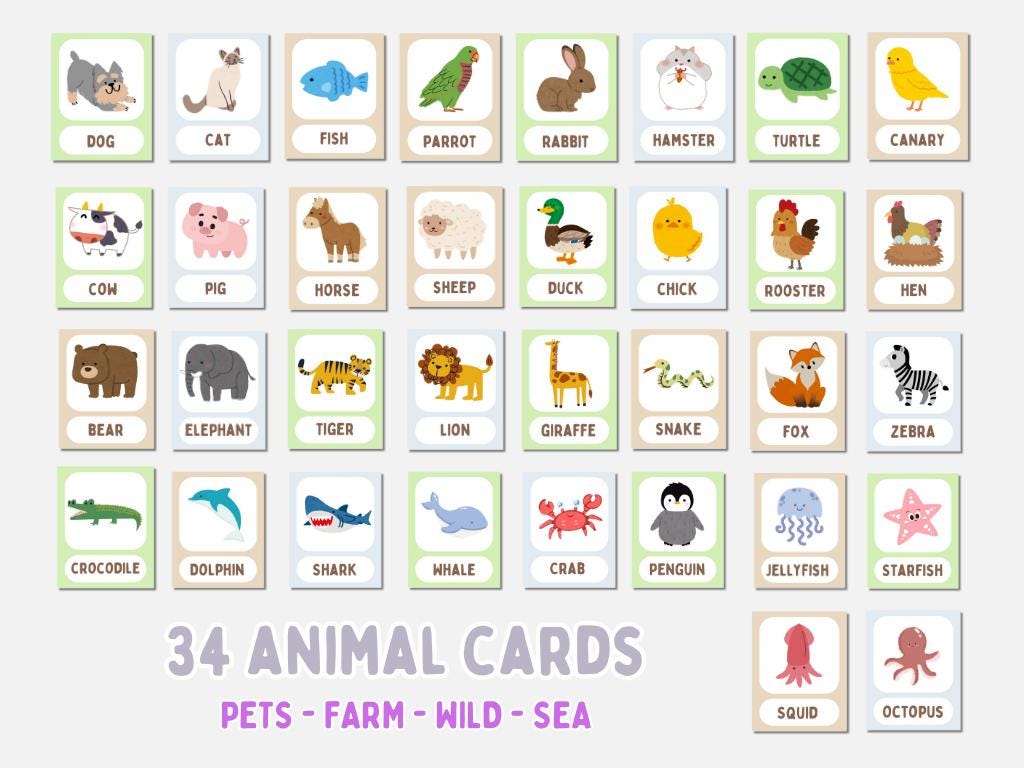 Animal Printable Flashcards | Simple English Vocabulary Flash Cards ...
