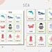 Animal Printable Flashcards | Simple English Vocabulary Flash Cards ...