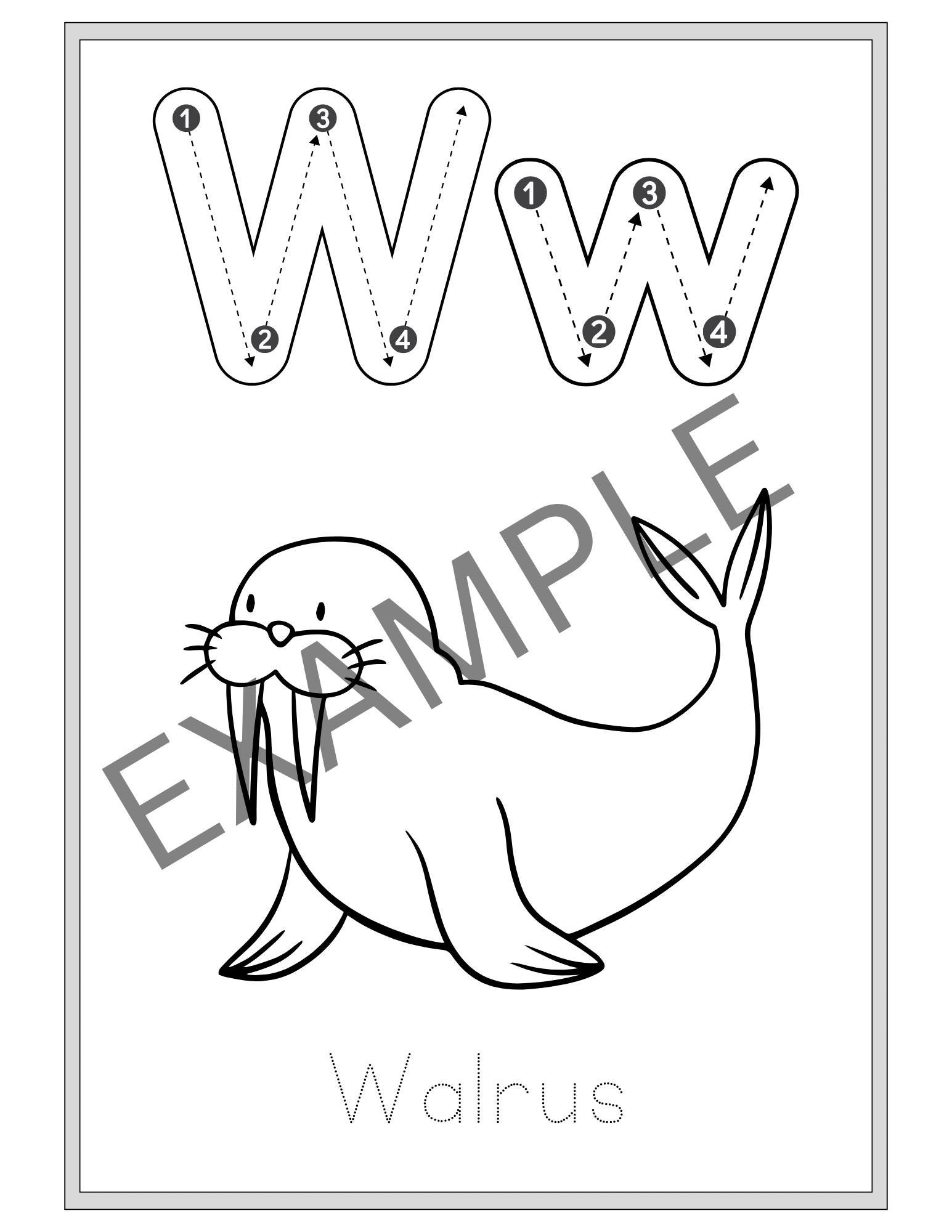 Ocean Alphabet Tracing and Coloring Pages - Etsy