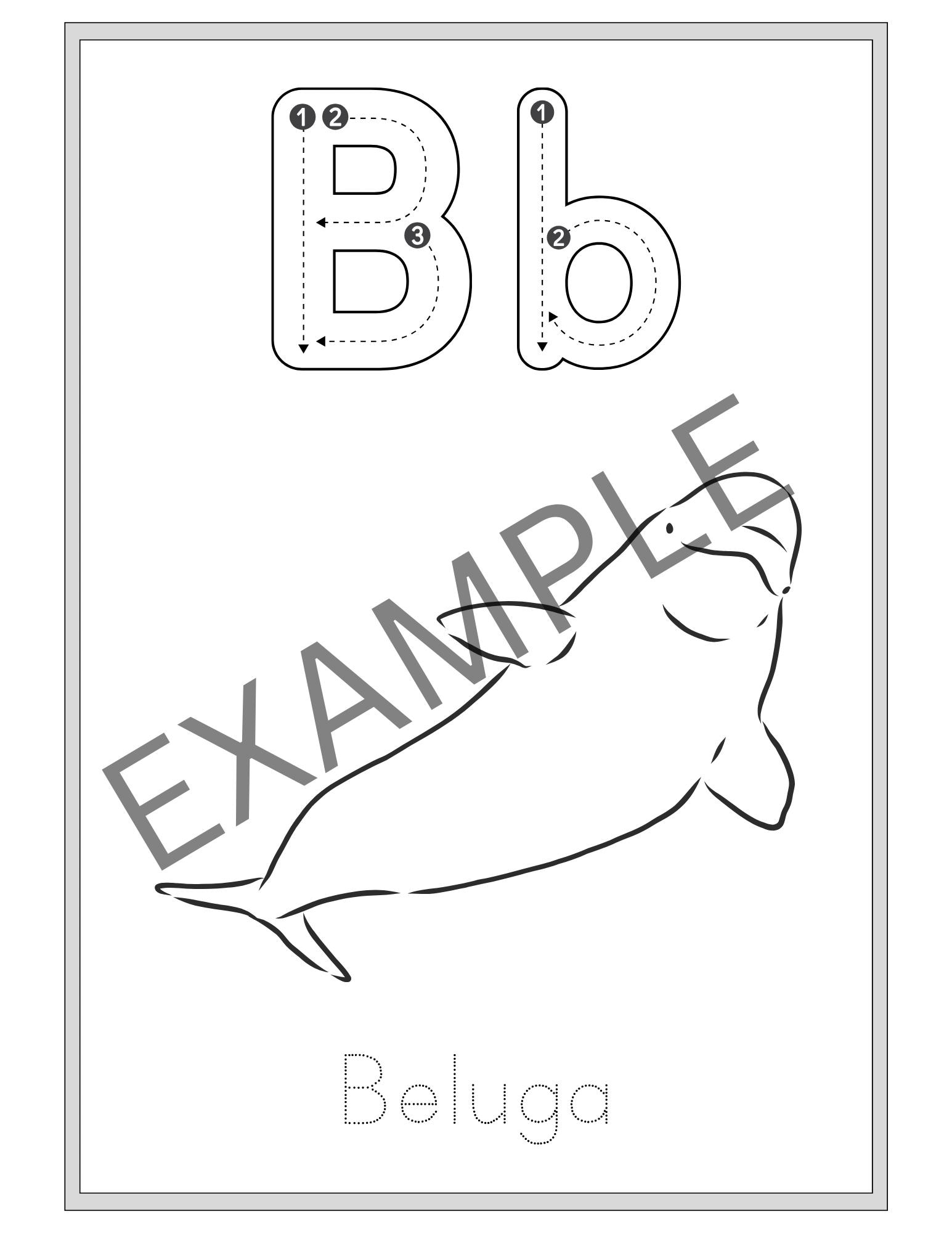 Ocean Alphabet Tracing and Coloring Pages - Etsy