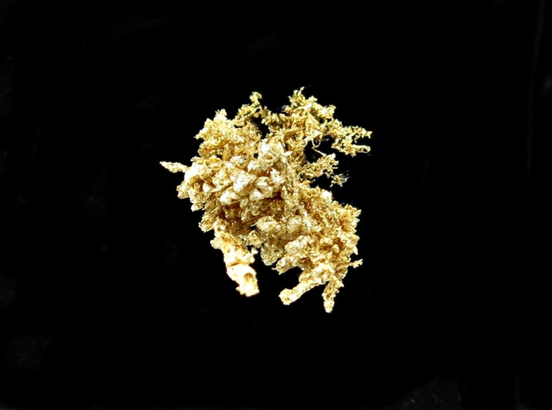 Native Gold, Alto Gold Mine, Olinghouse District, Pah Rah Range, Washoe ...
