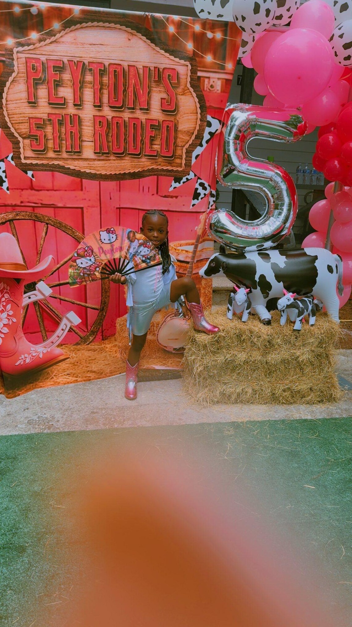 Pink Rodeo Backdrop - Etsy