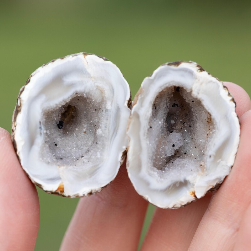 SaltLakeRelics - Etsy