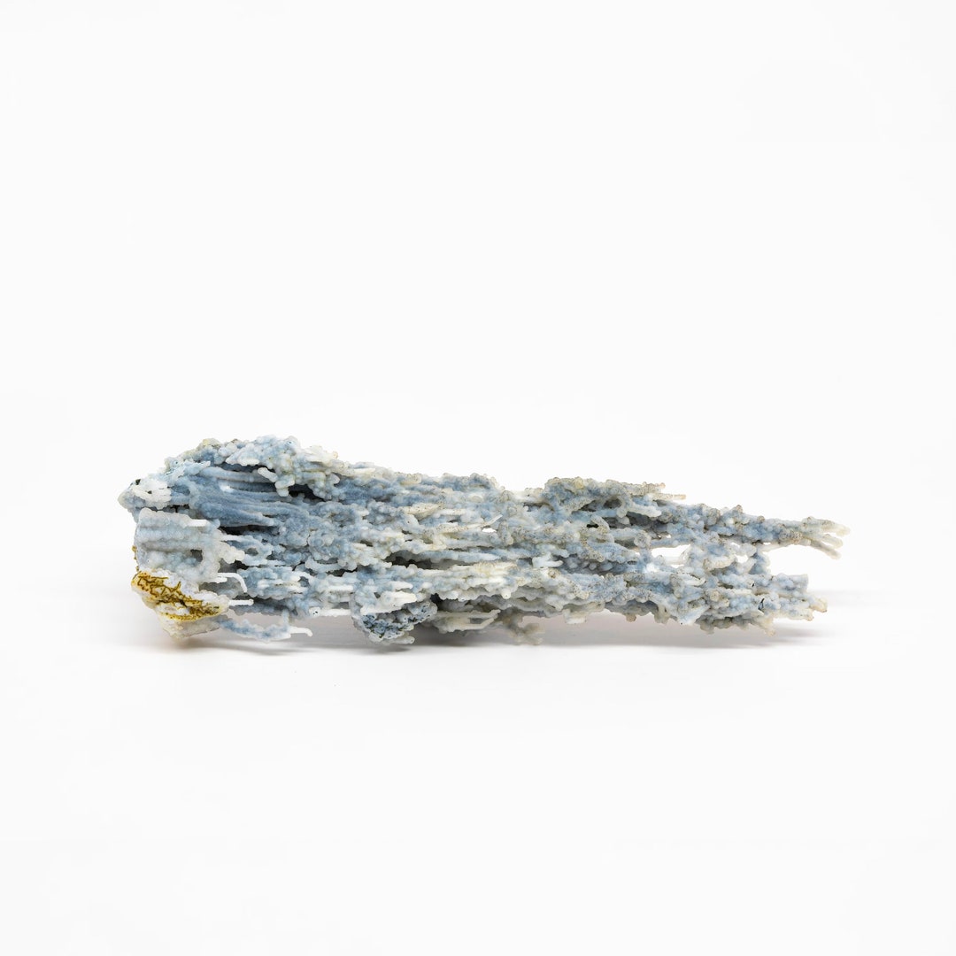 Blue Coral Chalcedony Raw Natural Blue Coral Chalcedony Mineral ...