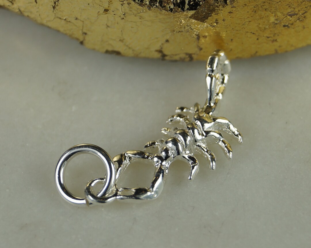 Sterling Silver Scorpio Zodiac Charm, Scorpio the Scorpion Zodiac Charm ...