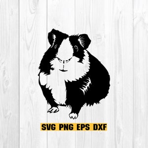 Guinea Pig Svg, Cute Pet Clipart, Domestic Animal Vector, Graphics ...