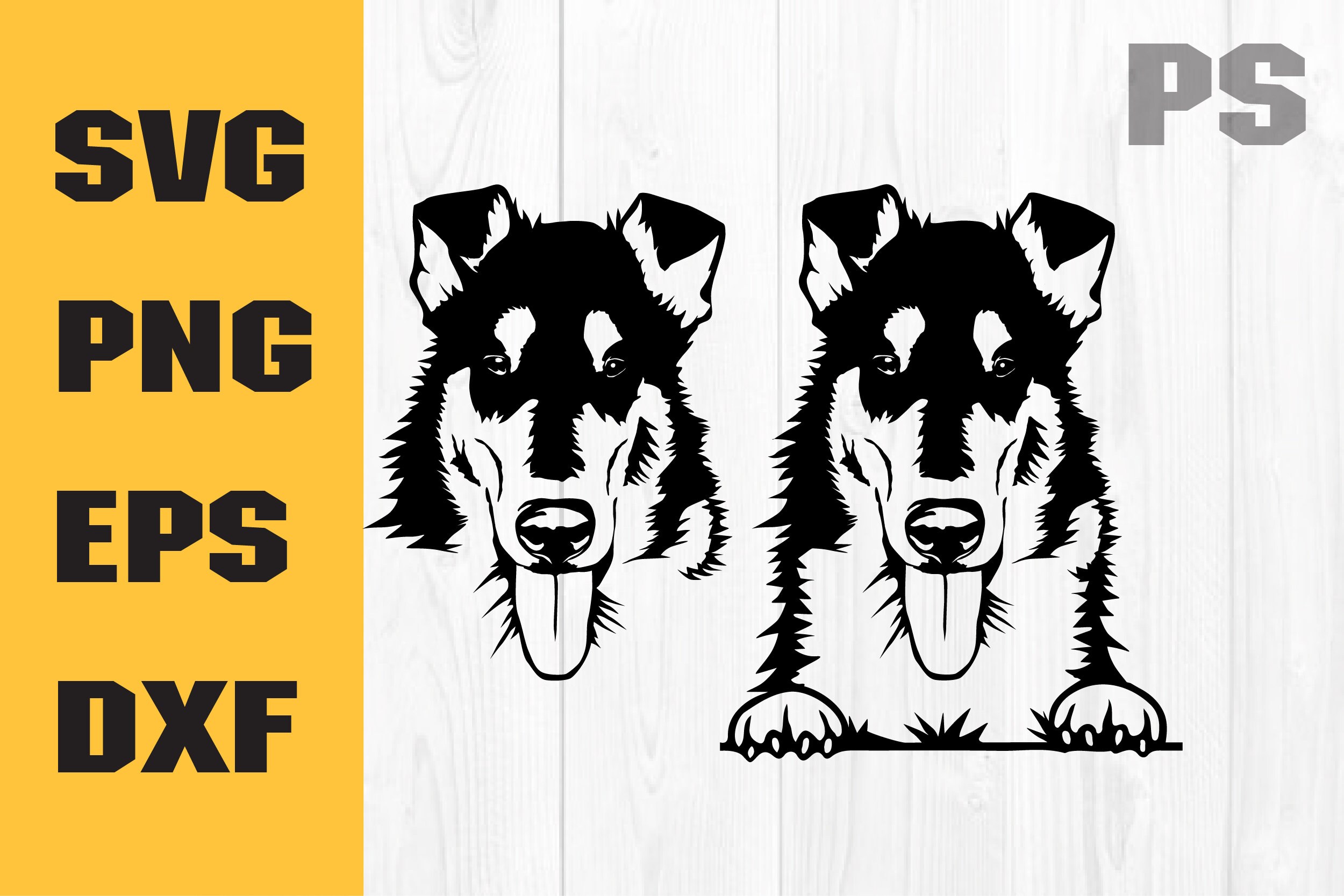 Smooth Collie Svg Dog Svg Rough Collie Dog Svg Files for - Etsy
