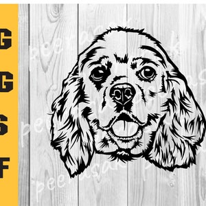 American Cocker Spaniel Svg, Dog Svg File for Cricut, Face, Head, Breed ...