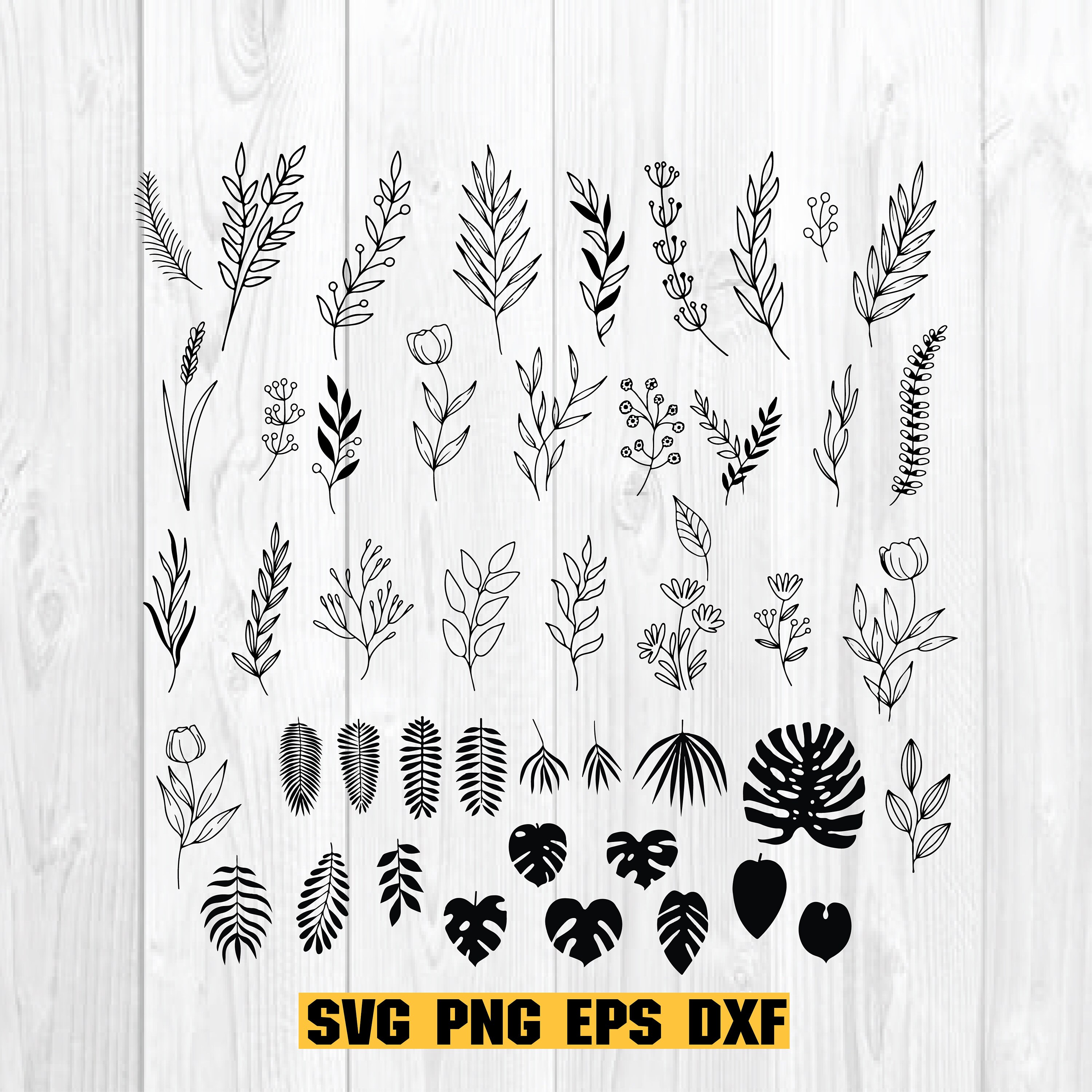 Botanical Svg Bundle Floral Svg flower Svg botanical | Etsy