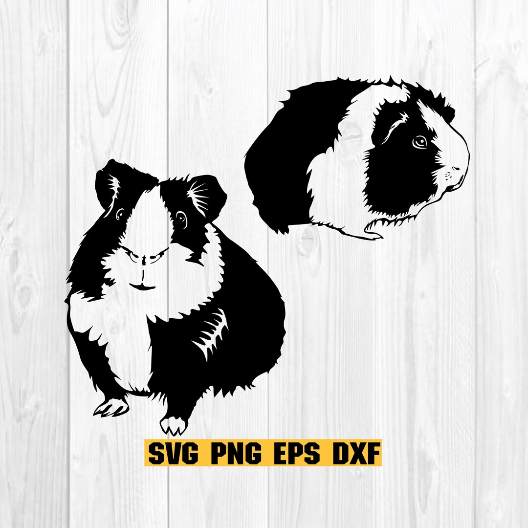Guinea Pig Svg, Cute Pet Clipart, Domestic Animal Vector, Graphics ...