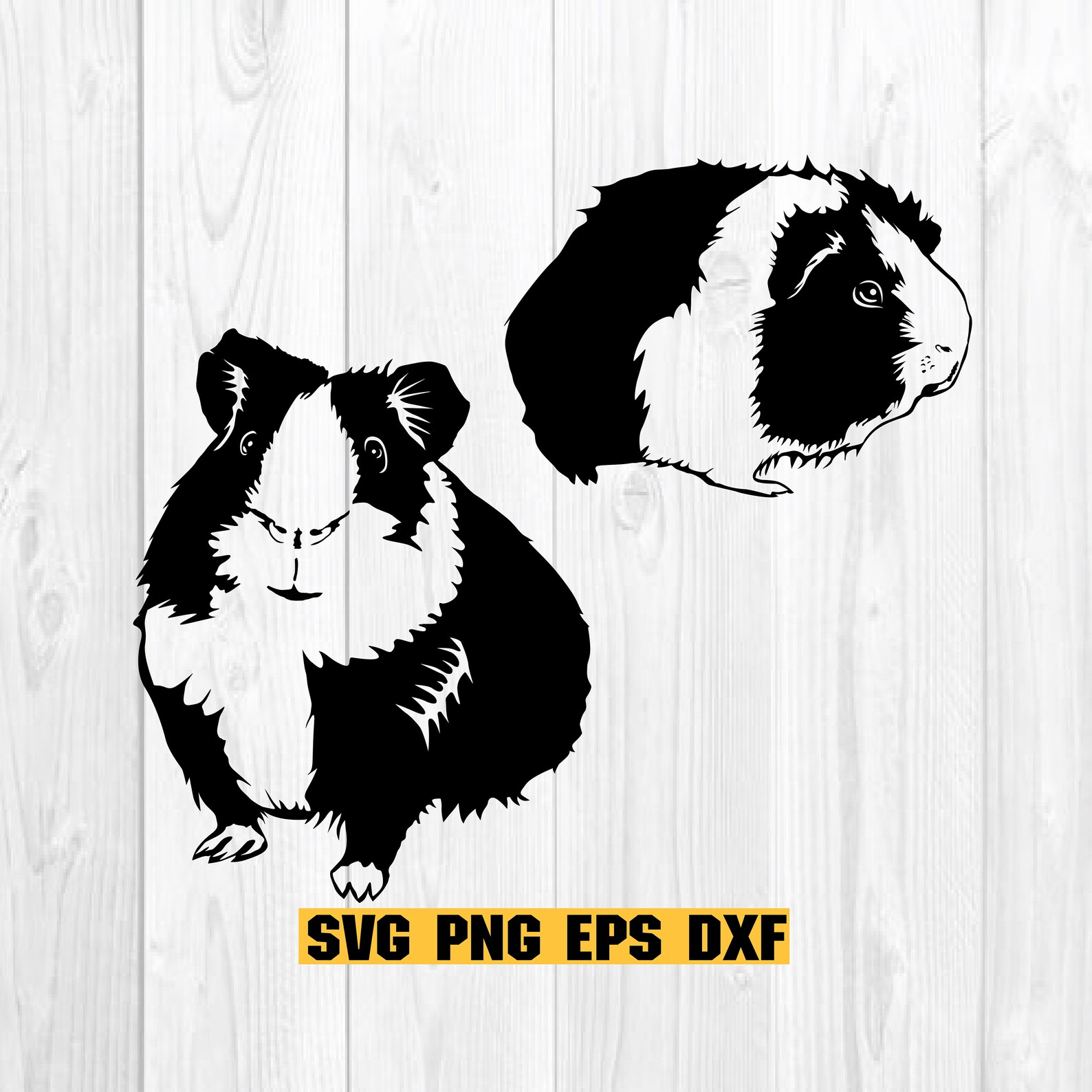 Guinea Pig Svg Cute Pet Clipart Domestic Animal Vector - Etsy