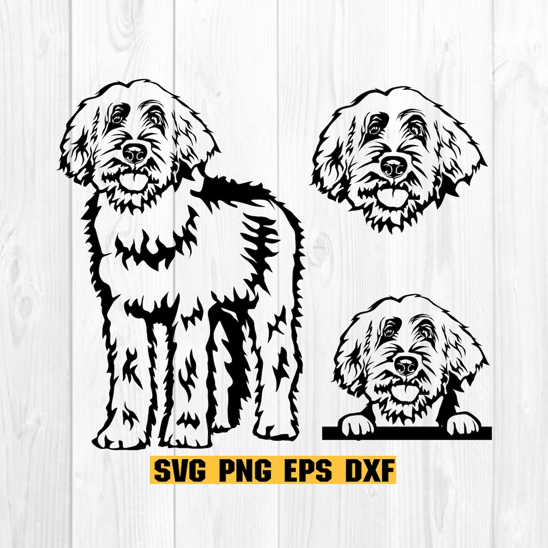 Labradoodle Svg, Dog Svg Cricut, Cute Pet Face Clipart, Head Paw ...