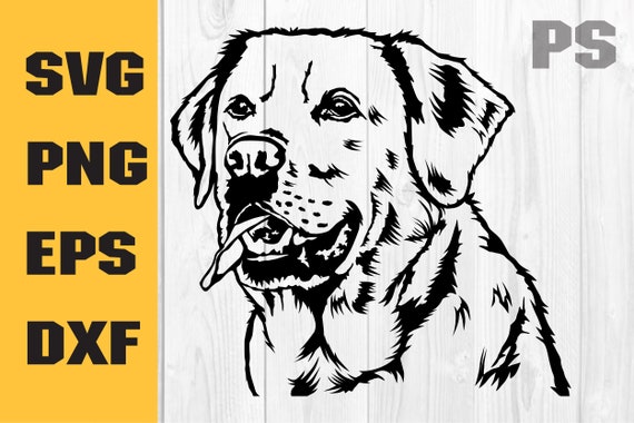 Labrador Svg Dog Svg Cricut Golden Retriever Svg Face Head - Etsy