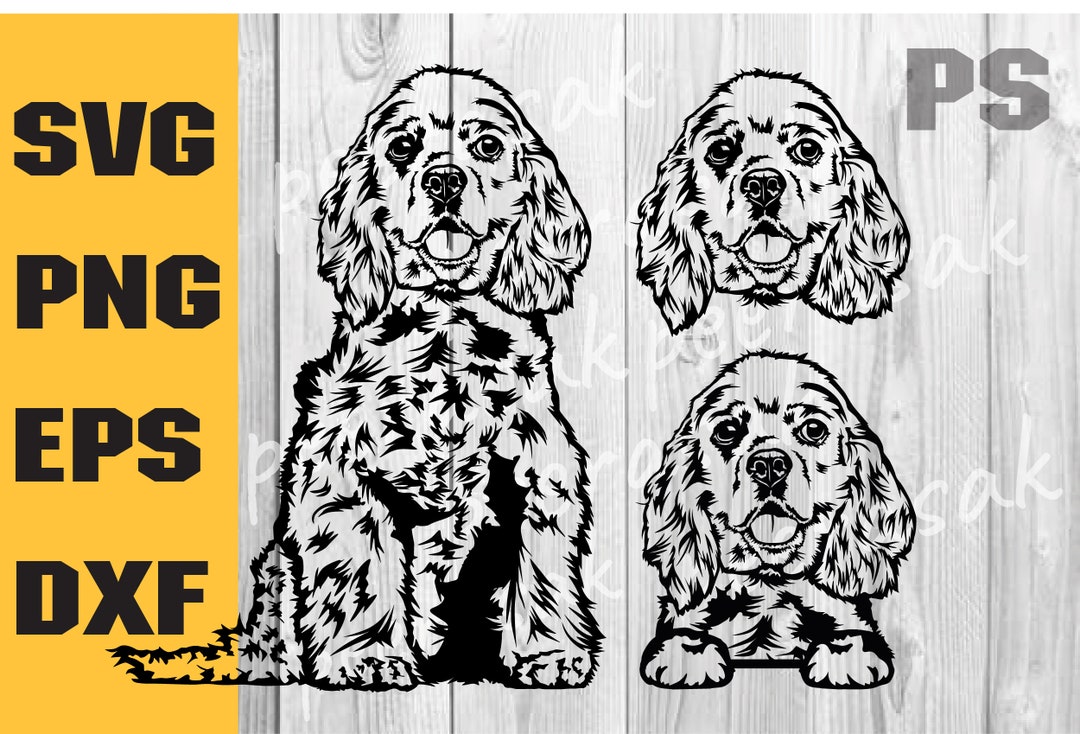 American Cocker Spaniel Svg, Dog Svg File for Cricut, Face, Head, Breed ...