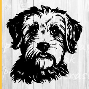 Schnoodle Dog Svg, Png, Jpg Bundle, Peeking Goldendoodle Dog Svg Png ...