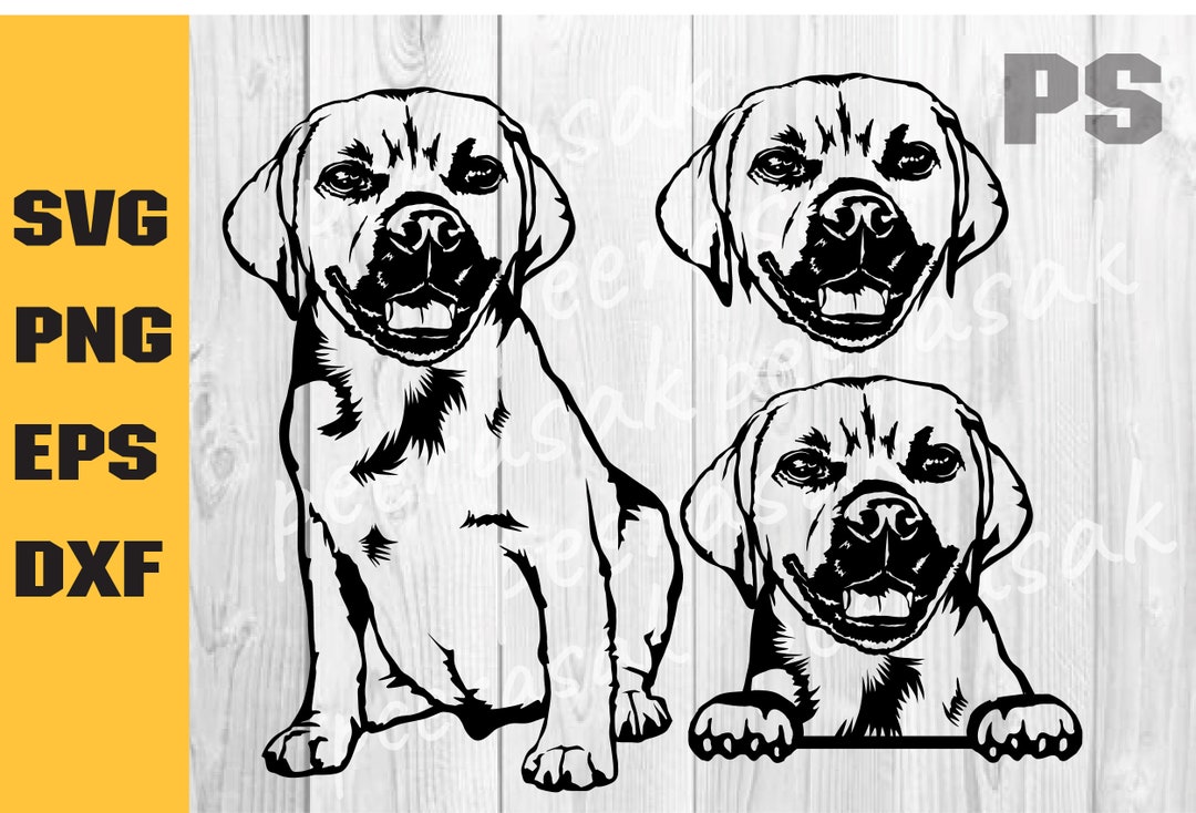 Puggle Svg, Dog Svg File for Cricut, Beagle Pug Mix Breed Clipart ...