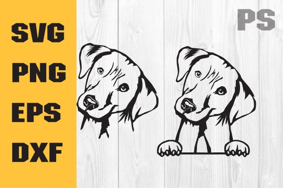 Labrador Svg Dog Svg Cricut Black Labrador Retriever Face - Etsy