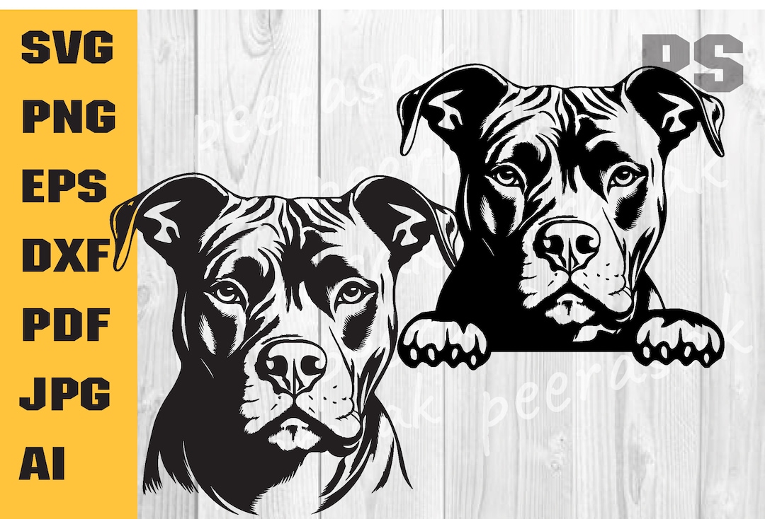 Pitbull Svg, American Pit Bull Svg, Pitbull Clipart, Pitbull Vector ...