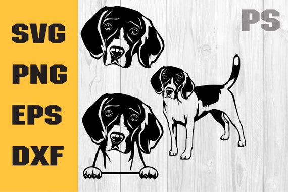 Beagle Svg Dog Svg Files for Cricut Download Clipart Face - Etsy