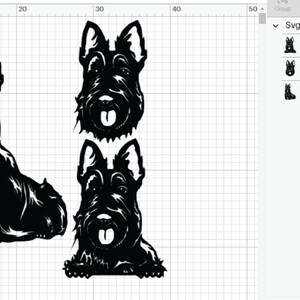 Scottish Terrier SVG, Dog Svg Cricut, Scottie Clipart, Breed Vector ...