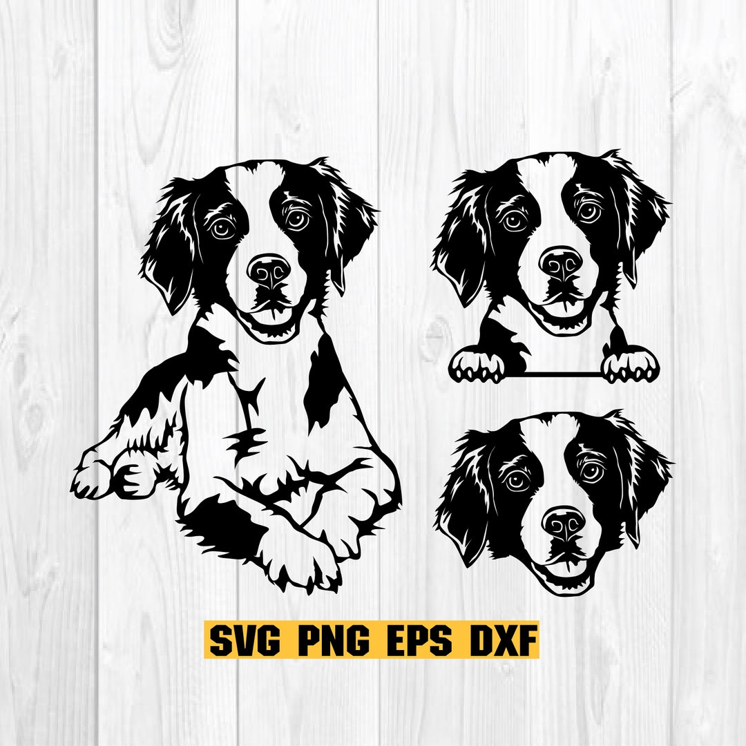 Brittany Spaniel Svg, Dog Svg Files for Cricut, Cute Face Head,hunting ...