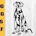 Great Dane Svg, Great Dane Png, Line Art Clipart, Portrait EPS ...