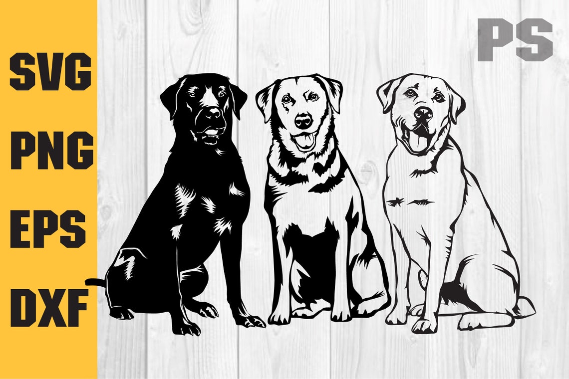 Labrador Svg Dog Svg Cricut Black Labrador Retriever Face - Etsy