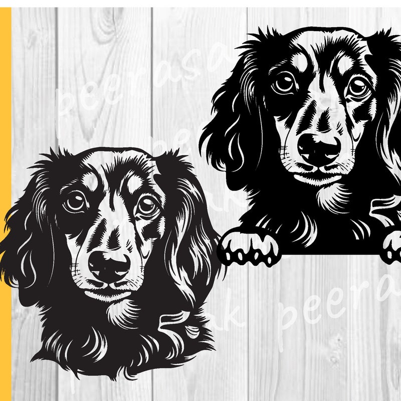 Dachshund Svg - Etsy