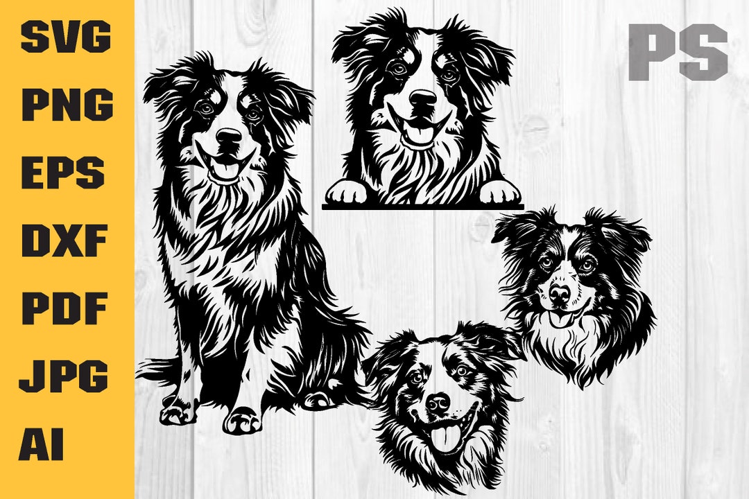 Australian Shepherd Svg, Aussie Svg, Australian Shepherd Decal Svg ...