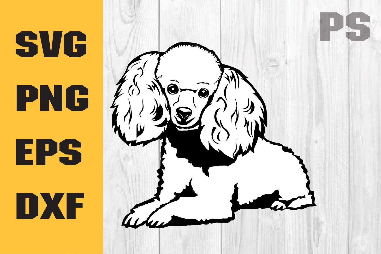 Poodle Svg, Dog Svg, Poodle Peeking SVG, Poodle Peeking Png, Eps, Dxf ...