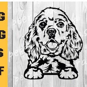 American Cocker Spaniel Svg, Dog Svg File for Cricut, Face, Head, Breed ...