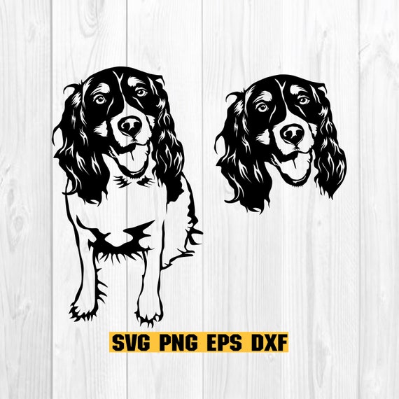 English Springer Spaniel Svg Dog Svg Cricut Cute Pet Face | Etsy