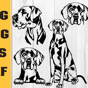 Great Dane Svg, Great Dane Png, Line Art Clipart, Portrait EPS ...
