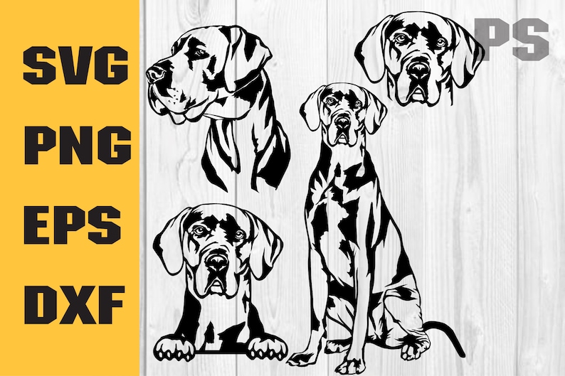 Great Dane Svg Great Dane Png Line Art Clipart Portrait EPS - Etsy