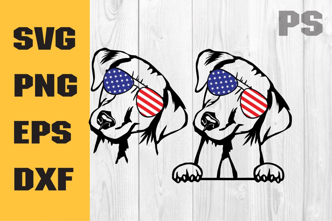 Patriotic Labrador Retriever With USA Flag Glasses Svg, Labrador ...