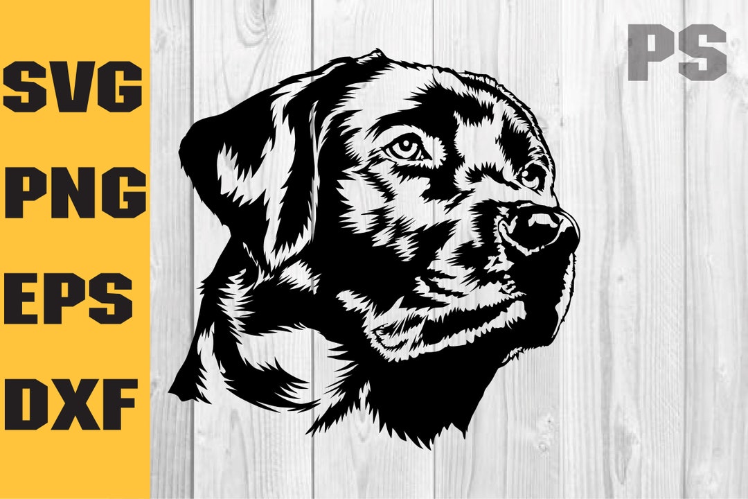 Labrador Svg, Black Labrador Svg, Doggo Svg, Dog Svg Cricut, Head ...