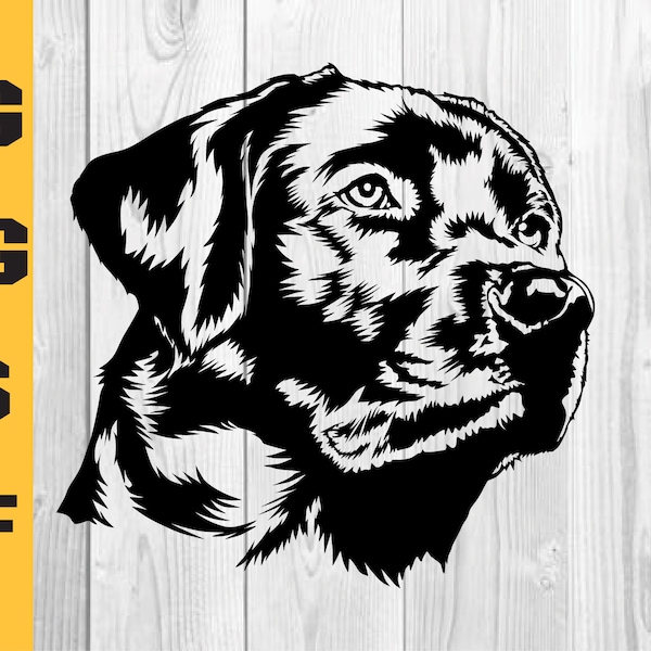 Black Lab Svg - Etsy